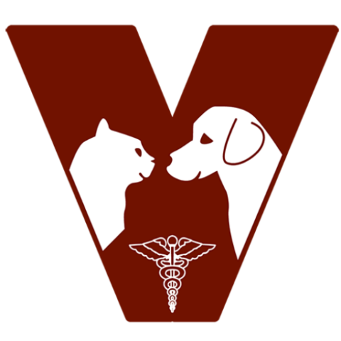 About Valley Forge Animal Medical Center | Phoenixville, PA