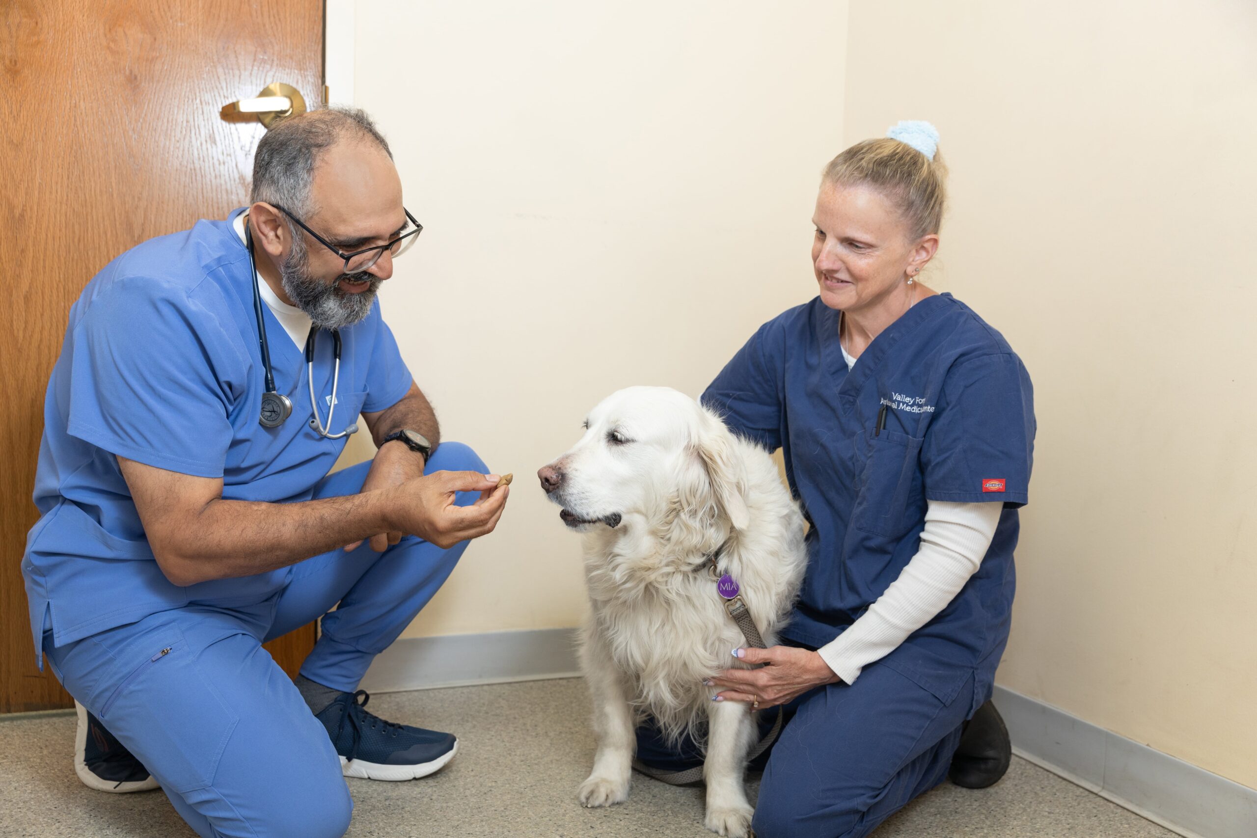 Valley Forge Animal Medical Center Gallery | Phoenixville PA